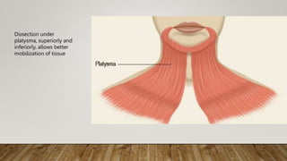 Anterior Cervical Corpectomy | PPTX