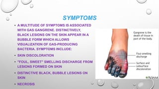 Gas Gangrene | PPT