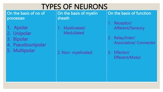Presentation (1).pptx