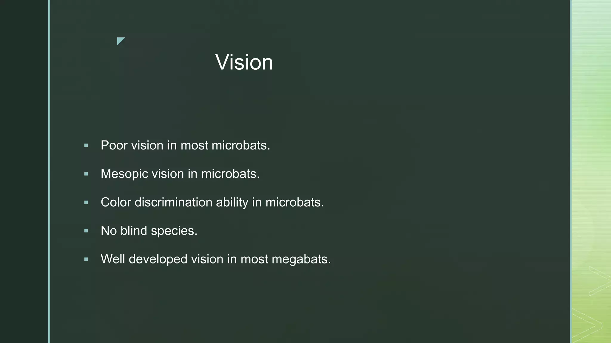 Presentation (1).pptx