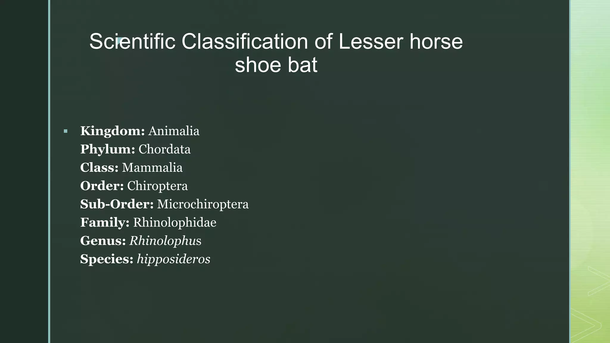 Presentation (1).pptx