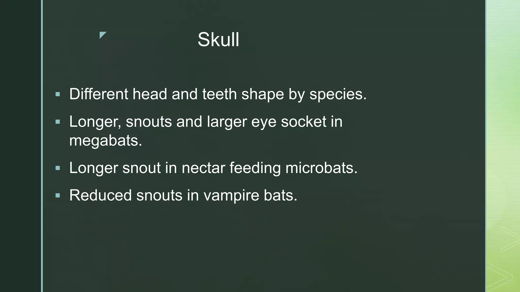 Presentation (1).pptx