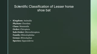 Presentation (1).pptx