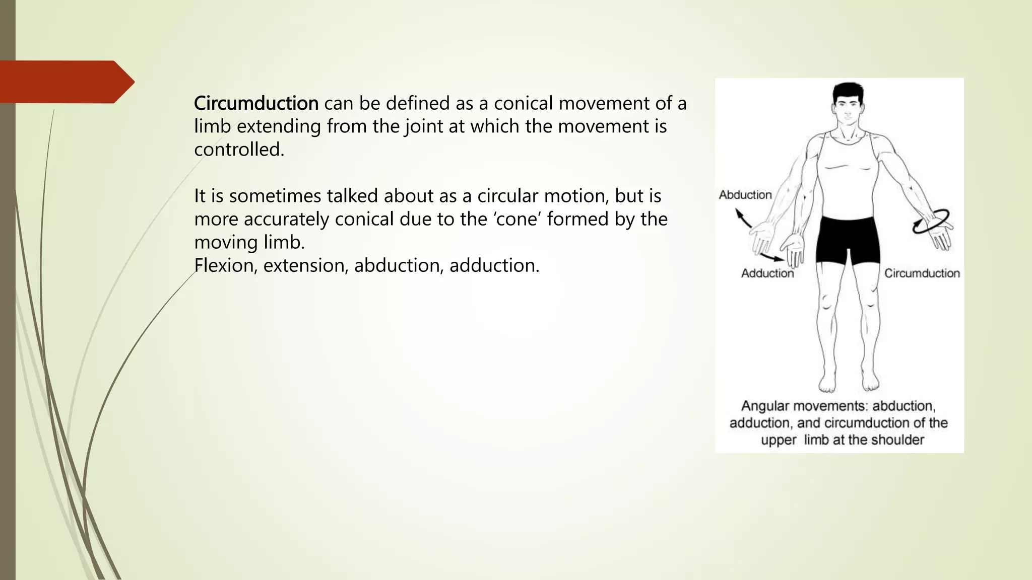 anatomical nomenclature | PPTX