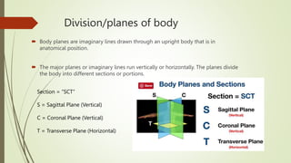 anatomical nomenclature | PPTX