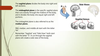 anatomical nomenclature | PPTX