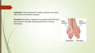 anatomical nomenclature | PPTX