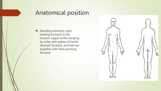 anatomical nomenclature | PPTX