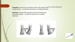 anatomical nomenclature | PPTX