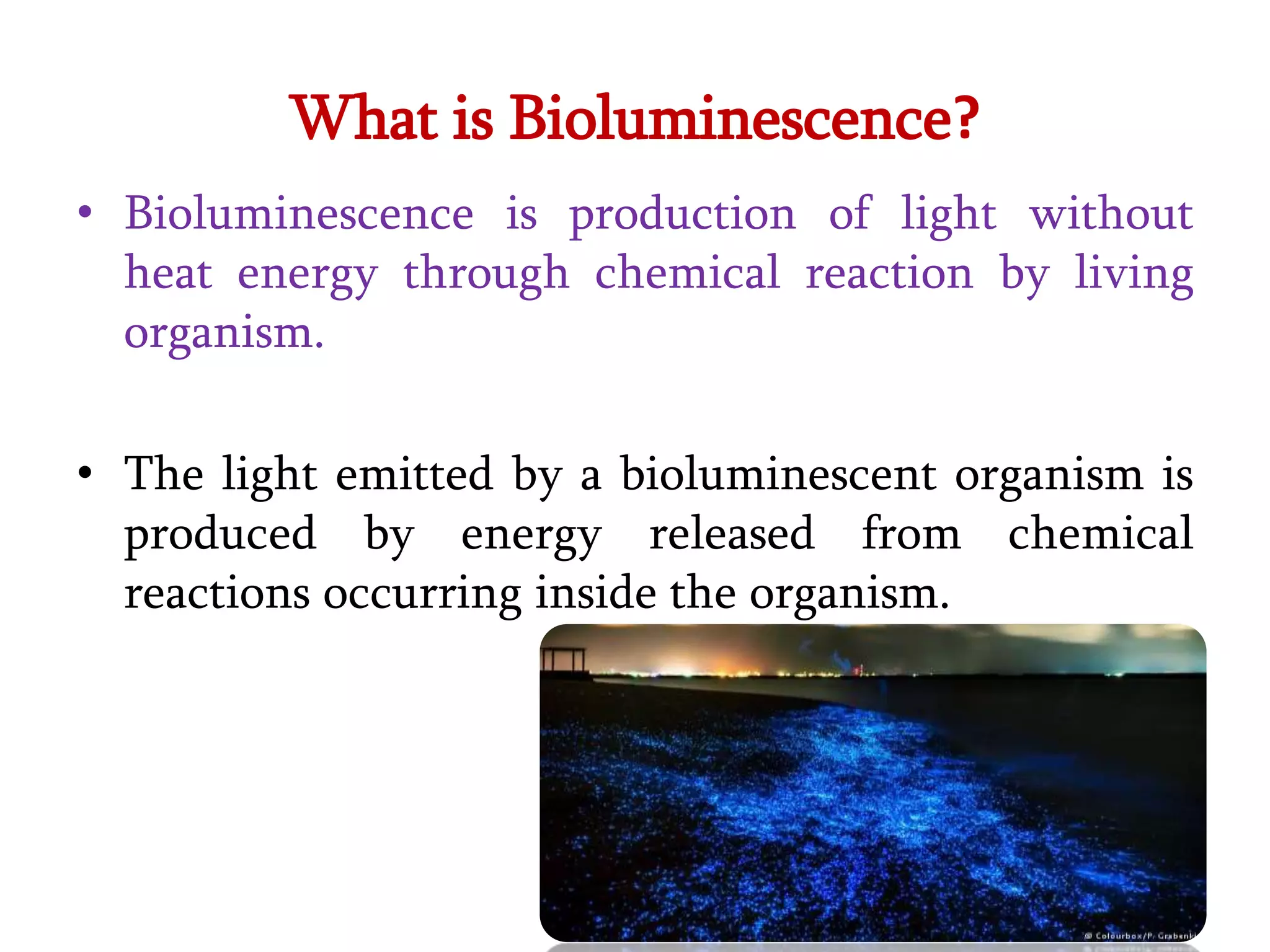 Bioluminescence in Bacteria | PPTX