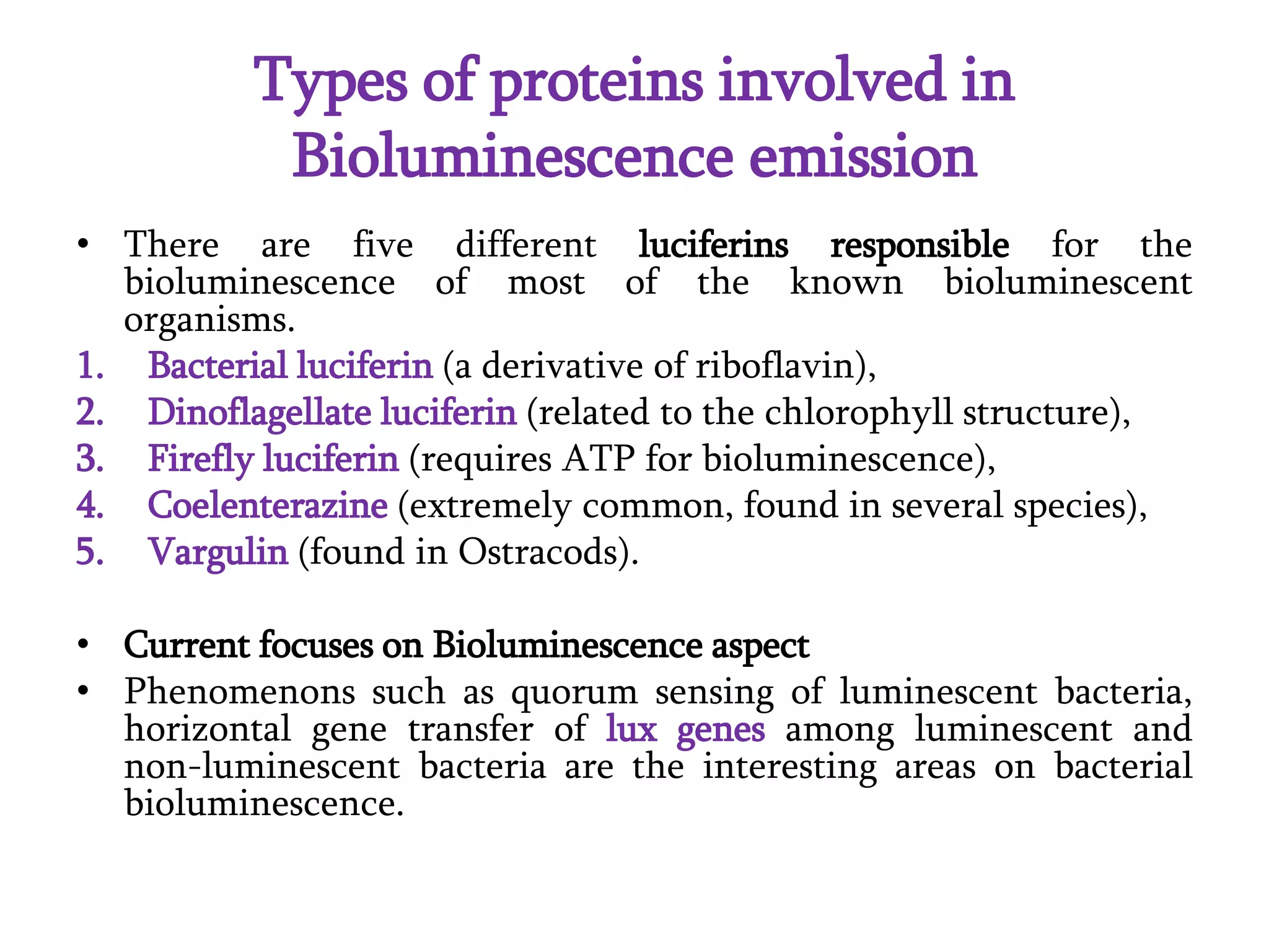 Bioluminescence in Bacteria | PPTX