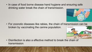 Disease Control Measures | PPTX