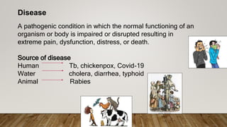Disease Control Measures | PPTX
