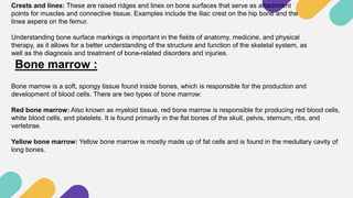 Basic Anatomy chap no 1 | PPTX | Skin and Dermatology | Diseases and ...