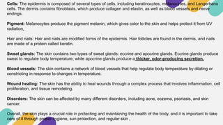 Basic Anatomy chap no 1 | PPTX | Skin and Dermatology | Diseases and ...