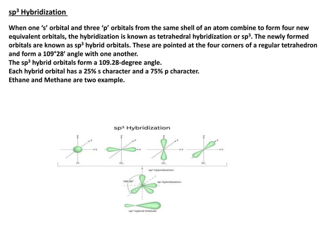 Presentation on Hybridization | PPTX