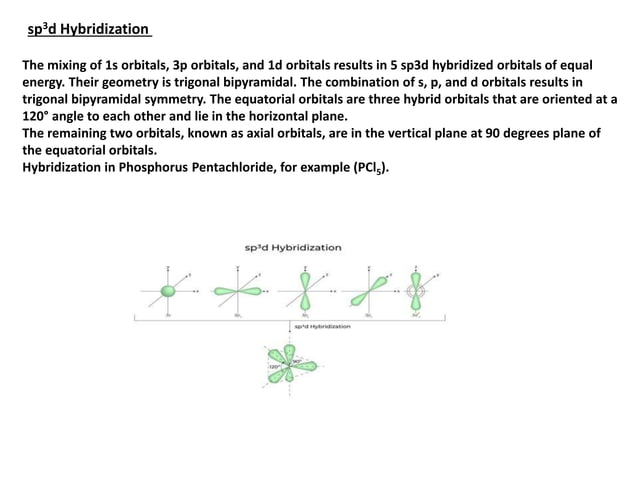 Presentation on Hybridization | PPTX