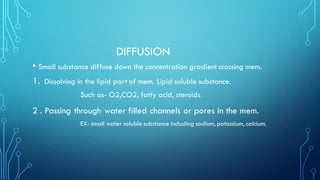 Presentation (1).pdf