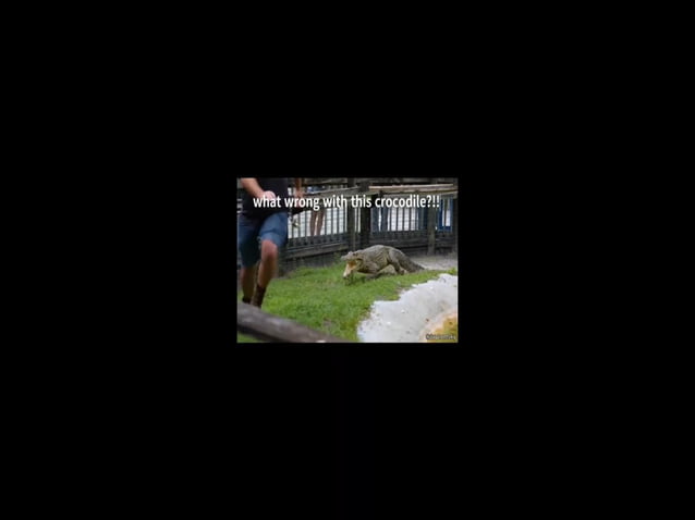 Alligators Run Like Dogs | PDF