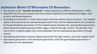 Alternation of generation and Phylogentic Trend | PPT