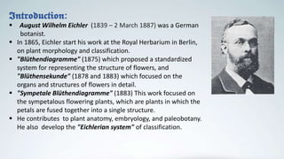 Alternation of generation and Phylogentic Trend | PPTX