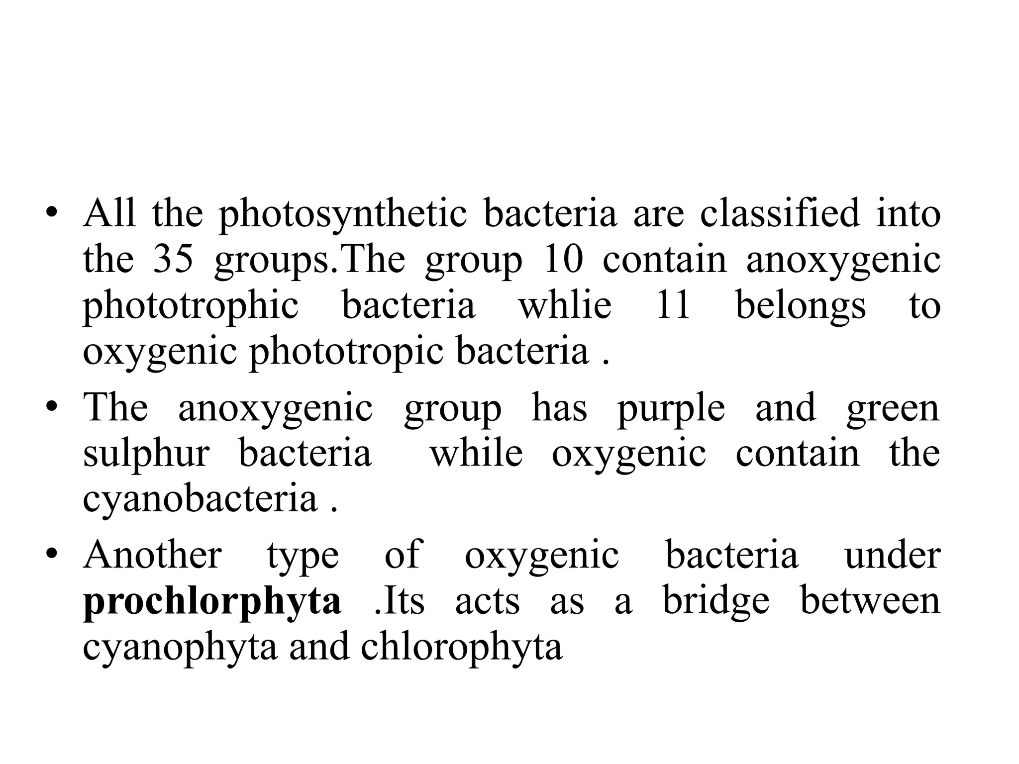 Photosynthesis.pptx