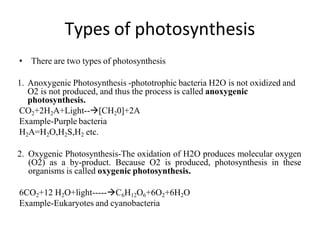 Photosynthesis.pptx