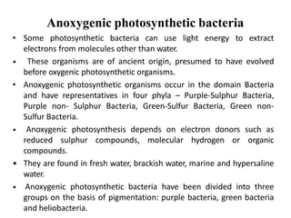 Photosynthesis.pptx
