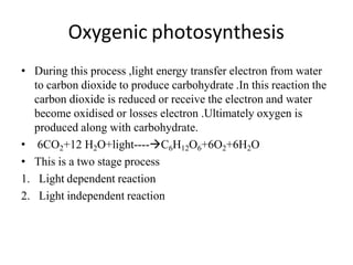 Photosynthesis.pptx