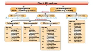 Charles Edwin Bessy | Bessy System of Classification | PPTX