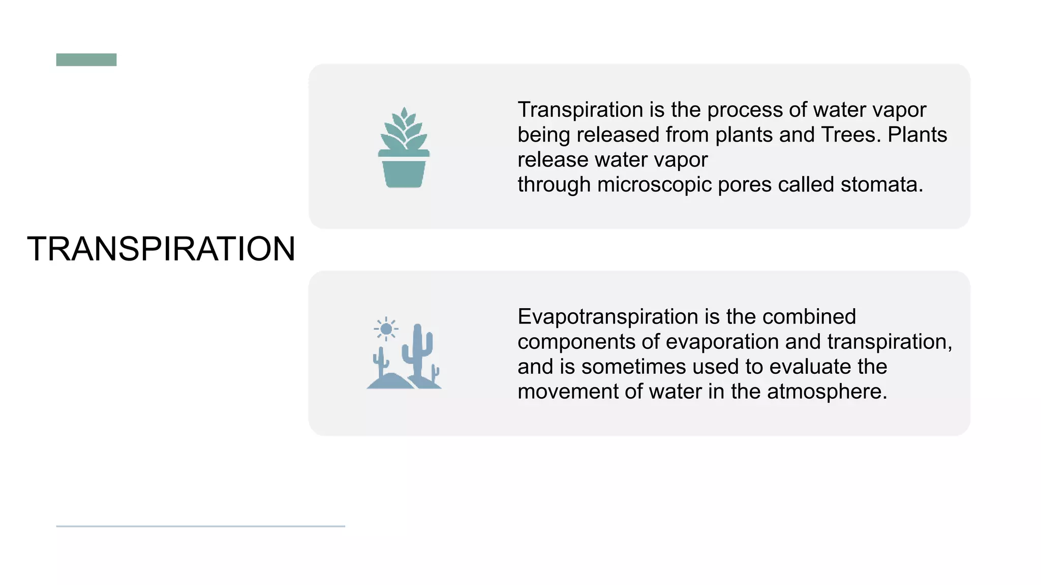 WATER CYCLE | PPTX