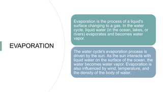 WATER CYCLE | PPTX | Weather | Science