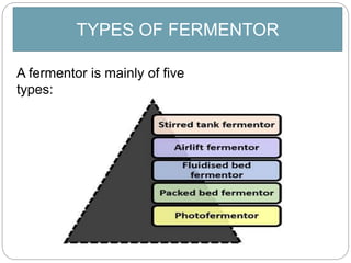 Fermenter | PPTX | Chemistry | Science