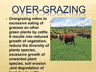 Presentation1.pptx | Agriculture | Industries