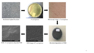 bitumen microstructure.pptx