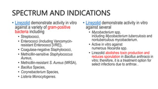 update on linezolid and Tedizolid antibiotic .pptx