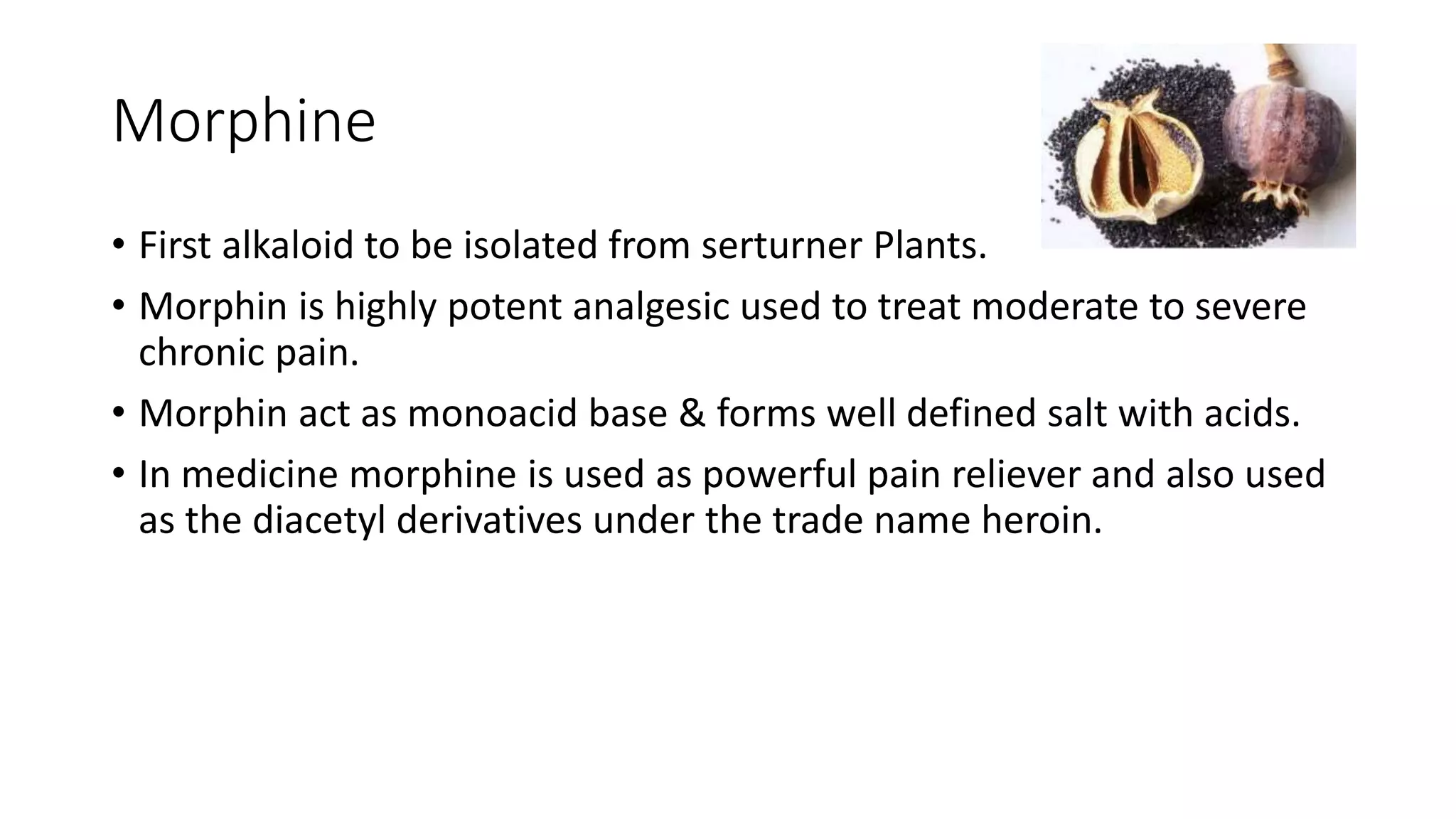 morphine synthesis Presentation1.pptx