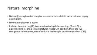 morphine synthesis Presentation1.pptx