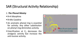morphine synthesis by rR | PPT