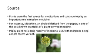 morphine synthesis by rR | PPT