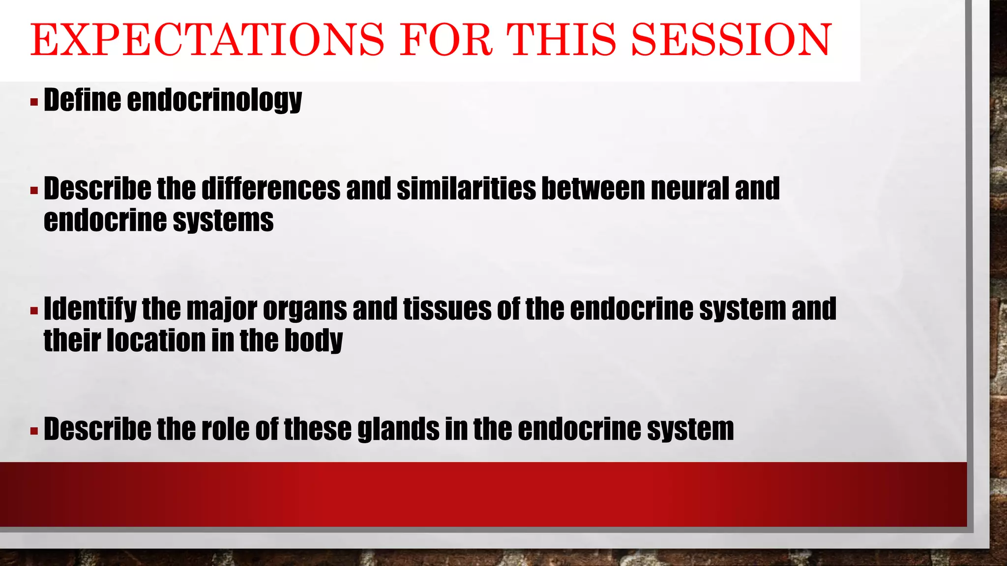 Introduction To The Endocrine System Ppt Free Download