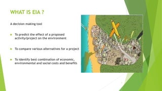 Environmental impact assessment | PPT