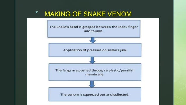 Snake venom and antivenom | PPT