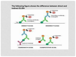 immunology | PPTX