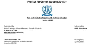 PROJECT REPORT OF INDUSTRIAL VISIT | PDF