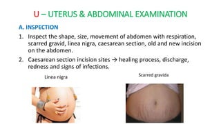 Postnatal Examination | Postnatal Assessment | PPTX