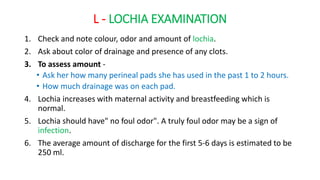 Postnatal Examination | Postnatal Assessment | PPTX