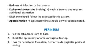 Postnatal Examination | Postnatal Assessment | PPTX