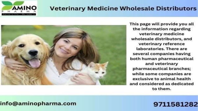 Veterinary Medicine Wholesale Distributors | PPTX