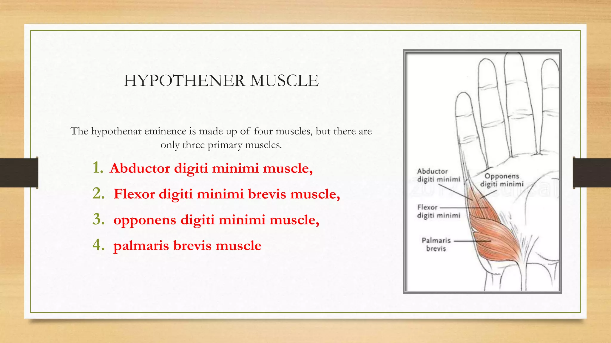 Hypothenar Muscle.pptx